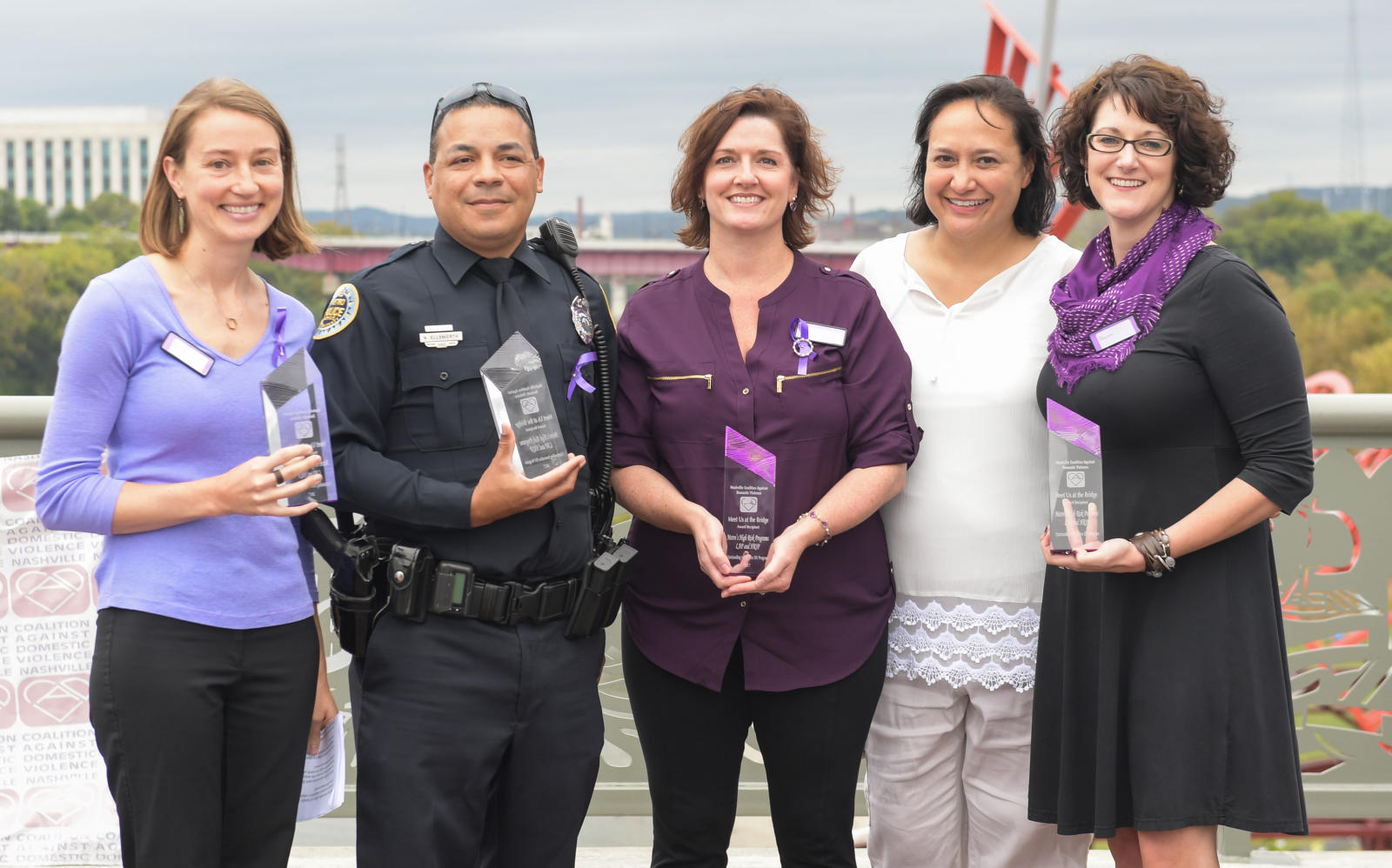 High Risk Intervention Panel – Office of Family Safety Metropolitan ...